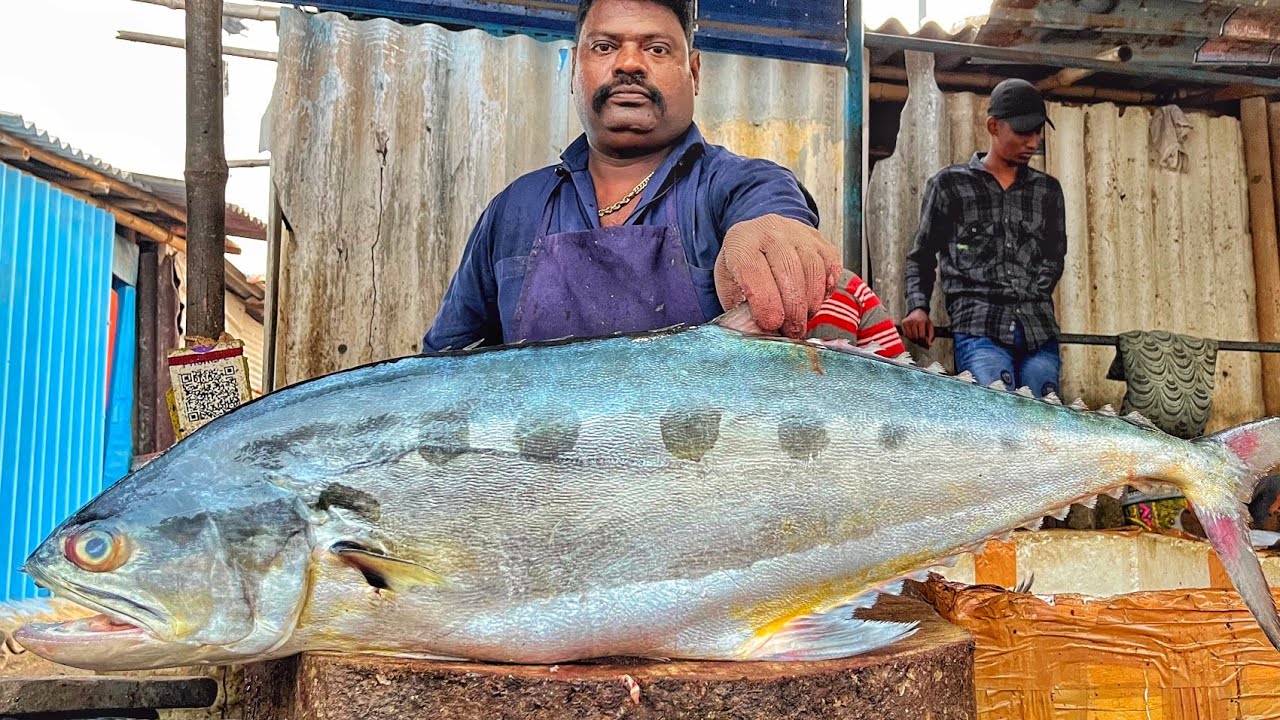 KASIMEDU SPEED SELVAM FISH CUTTING VIDEO - YouTube