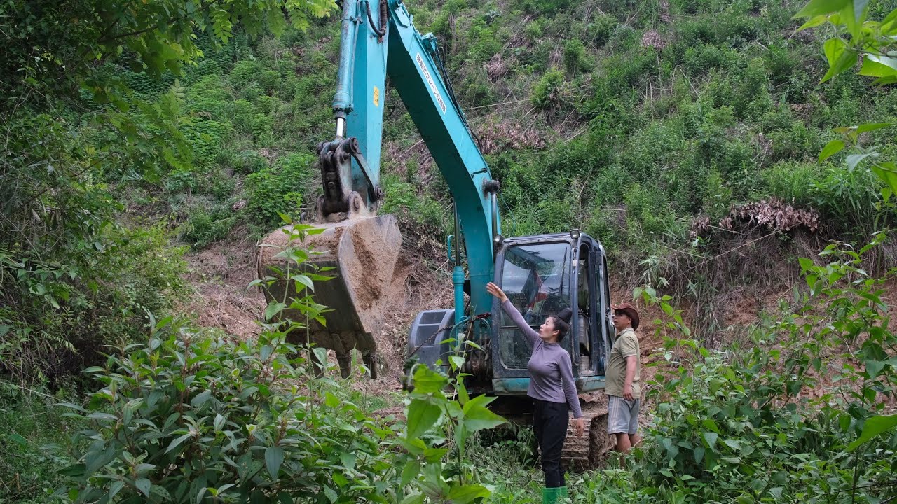 Folding the Buffalo Pen and Digging the Color-Changing Soil l Forest ...