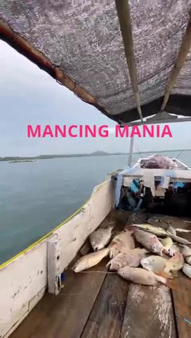 MANCING MANIA IKAN AIR LAUT - YouTube