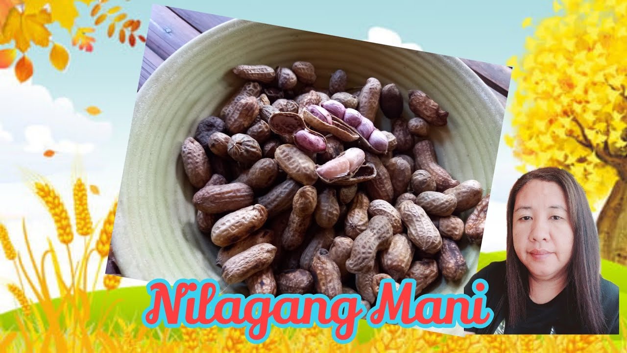 Nilagang Mani for meryenda fresh from the bukid - YouTube