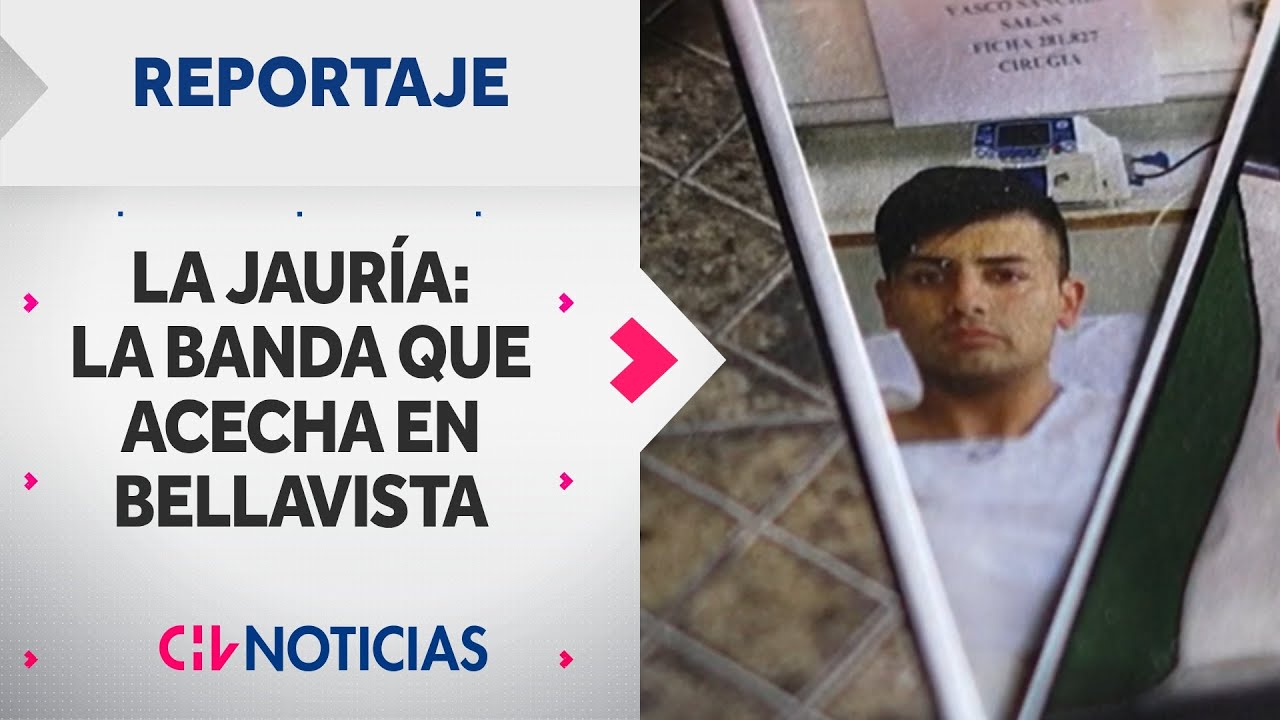 LA "JAURÍA DE BELLAVISTA": Así actúa la banda que acecha el popular ...