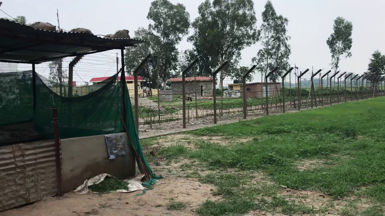 India Pak border loc fence electric current - YouTube