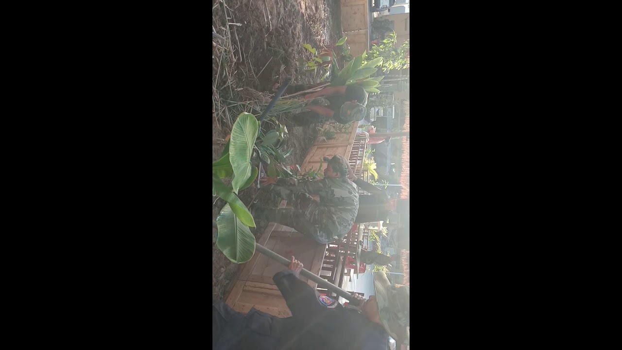 Army growing vegetables ep1 - YouTube