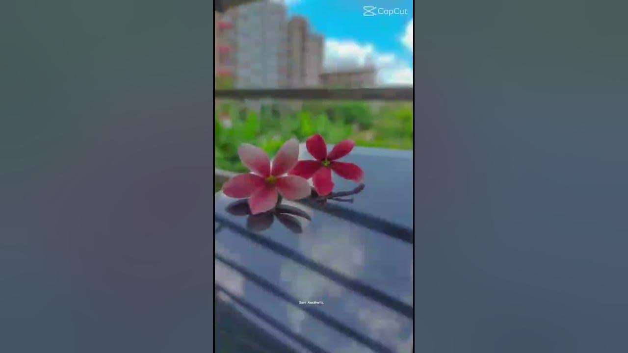 March 11, 2025 - YouTube