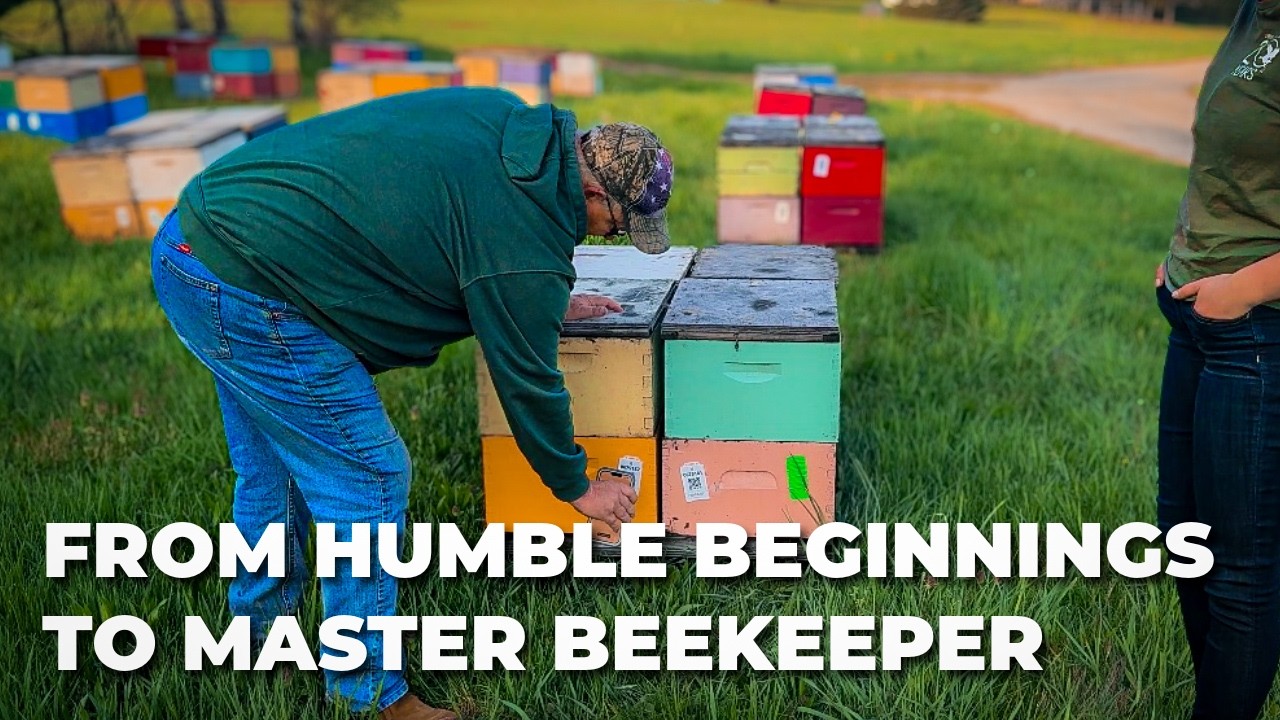 10,000 Hives, One Man, and a Lot of Bees – High Tech Beekeeping at ...