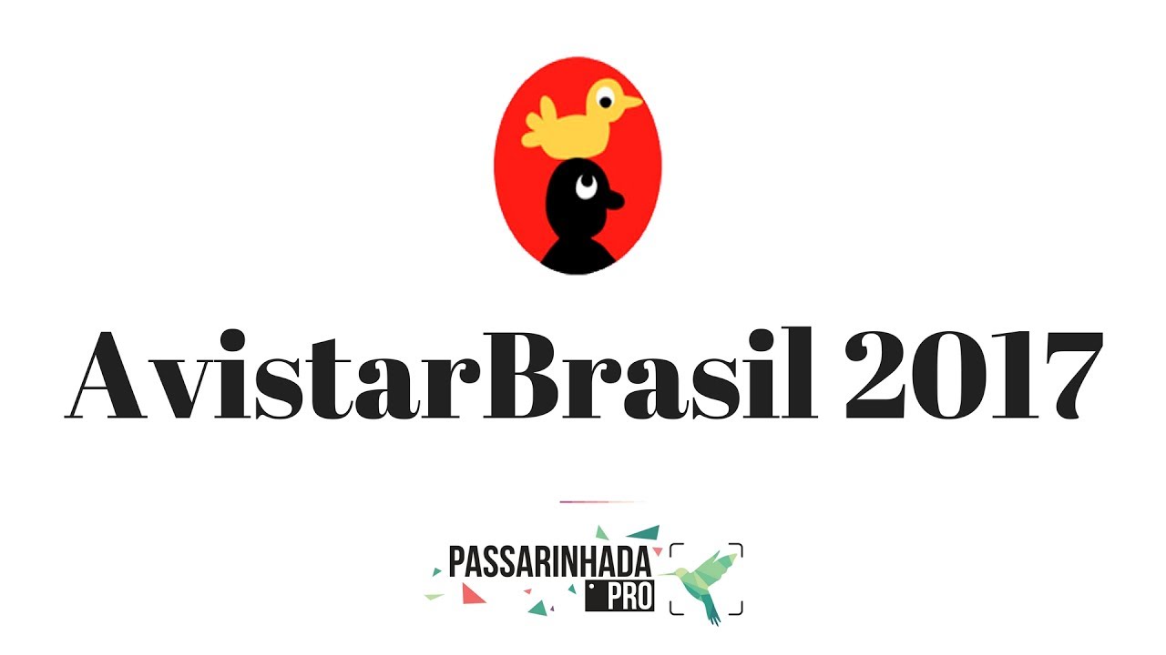 RETROSPECTIVA Avistar Brasil- 2017 (Curso COMPLETO de EDIÇÃO de IMAGENS ...