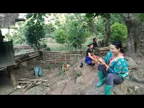 hnub no peb mus txiav taws - YouTube