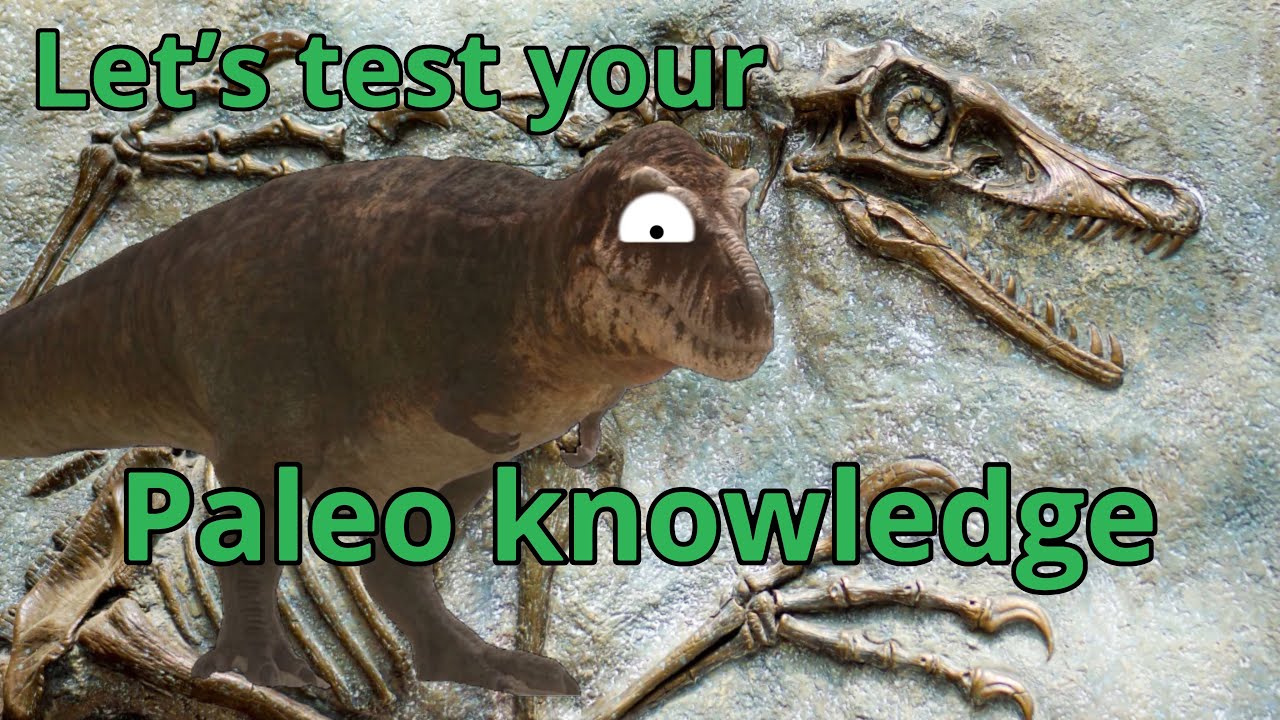 Let’s test what you know (The Basics) [REPOSTED] - YouTube