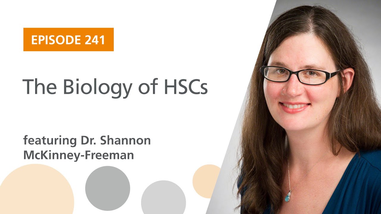 The Biology of HSCs featuring Dr. Shannon McKinney-Freeman | The Stem ...