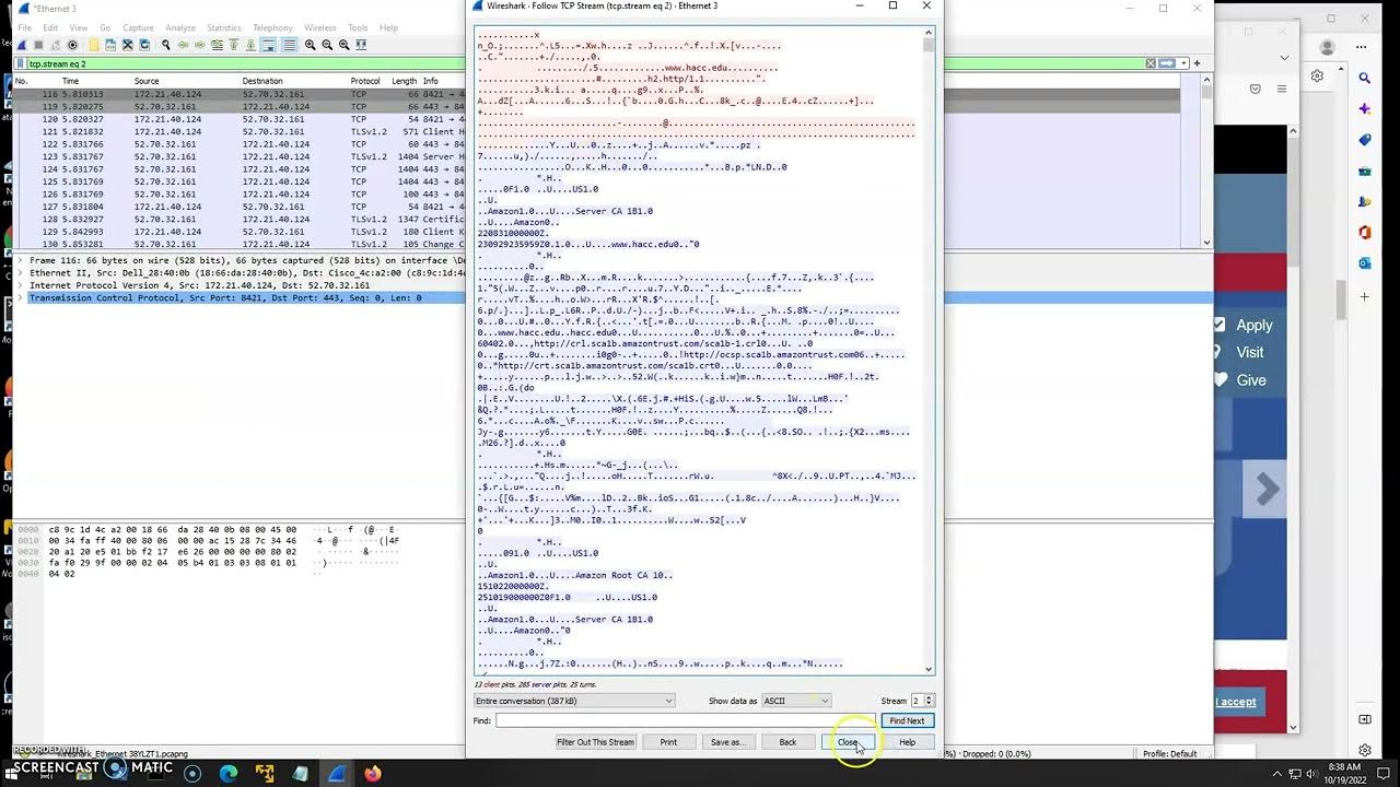 CNT120 Campus Chap 4 Lab 4 TCP - YouTube