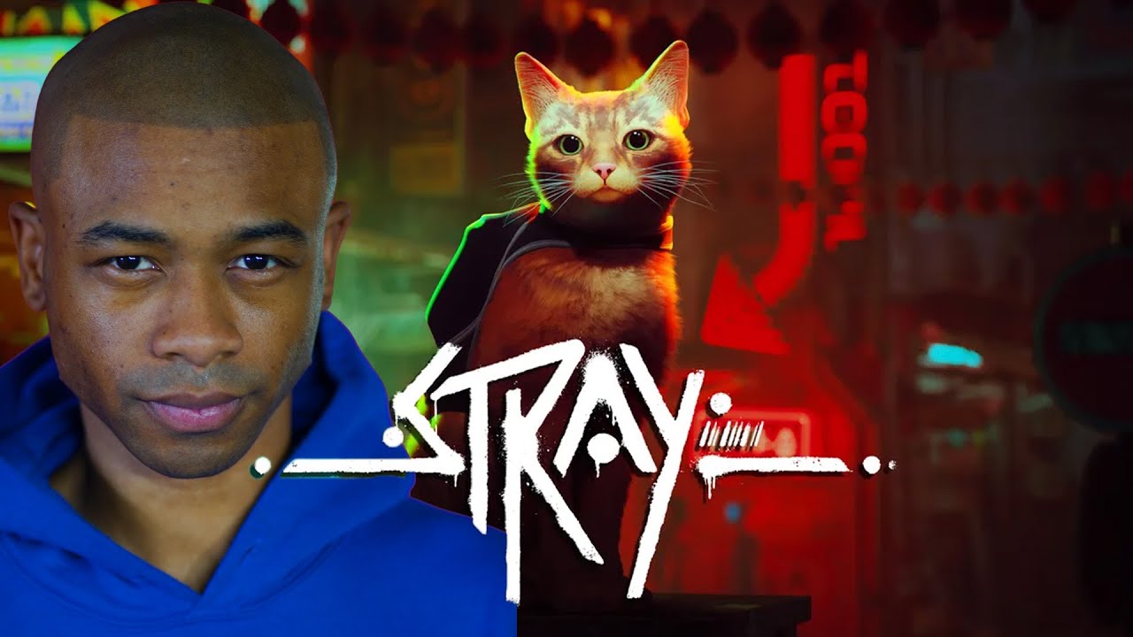 THE BADDEST ALLEY CAT - STRAY GAMEPLAY (PART 3) - YouTube