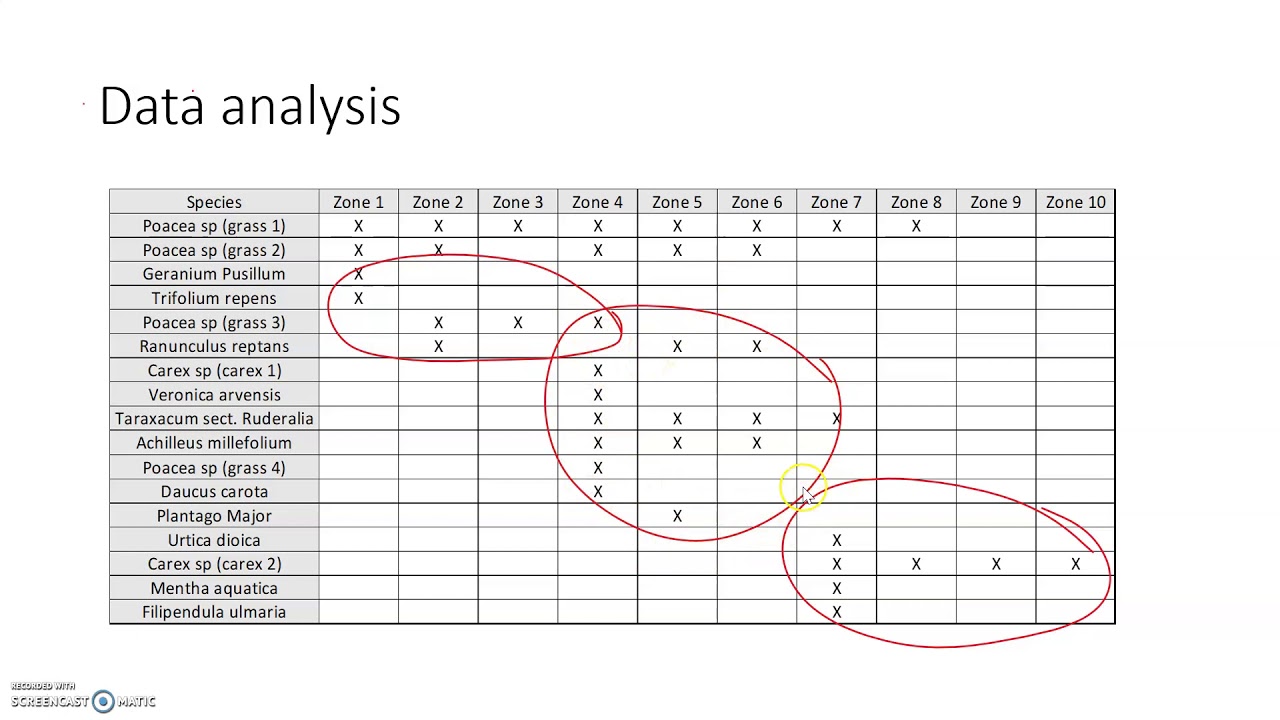 Line transect analysis - YouTube
