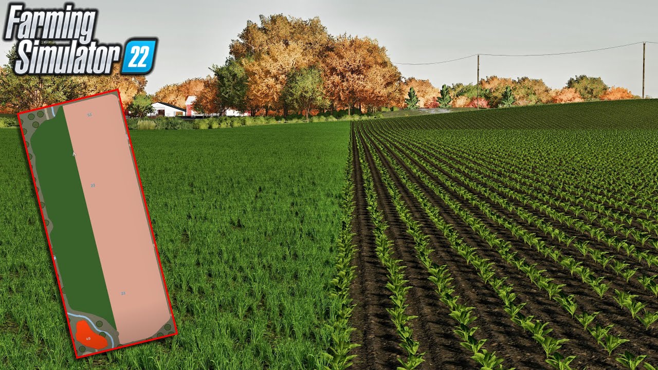 2 Crops 1 Field (Split Crops) | Farming Simulator 22 - YouTube