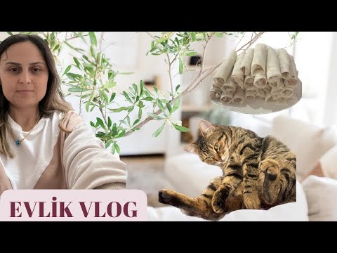 PAZAR VLOĞU