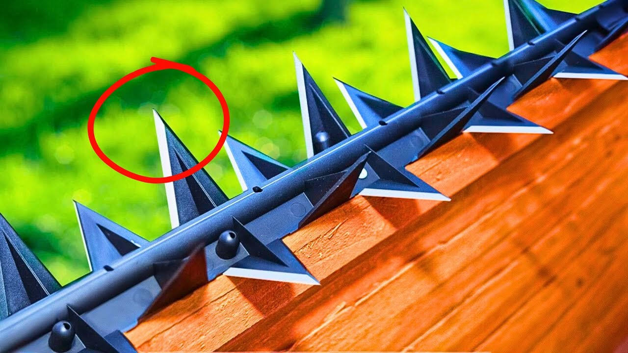 13 HOME SECURITY Gadgets You MUST HAVE! - YouTube