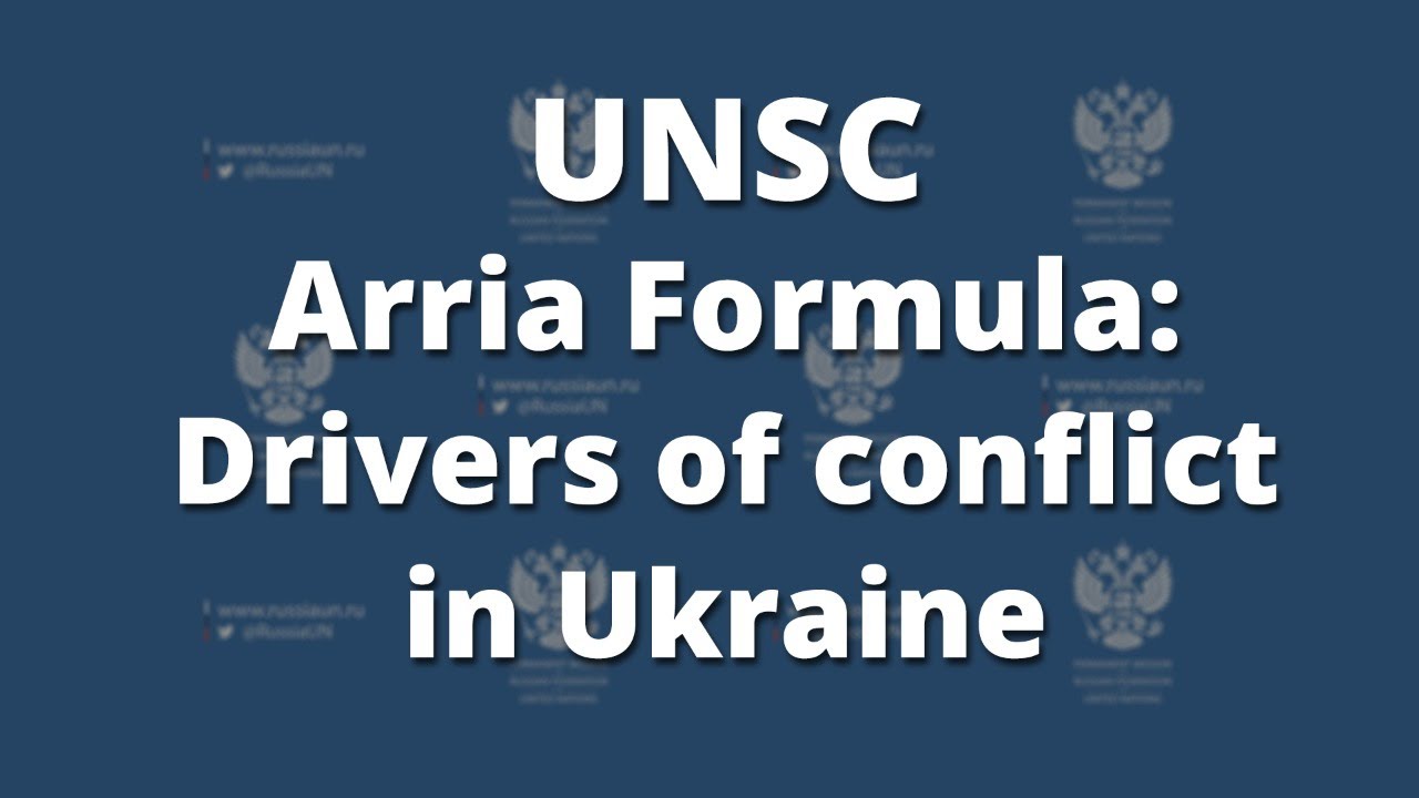 UNSC Arria Formula: Drivers of conflict in Ukraine - YouTube