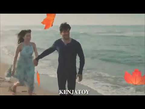 Farrux hamraev leyla