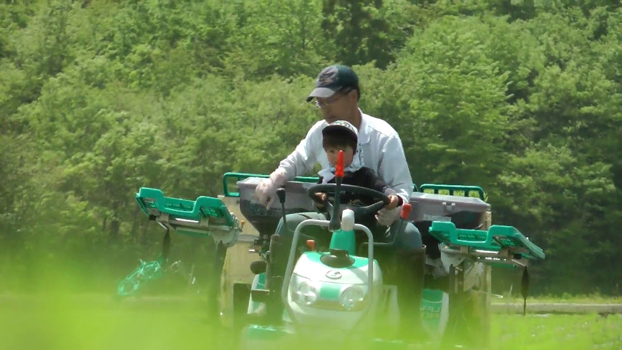 In a Japanese Rice Field - Rice Planting Machine - YouTube