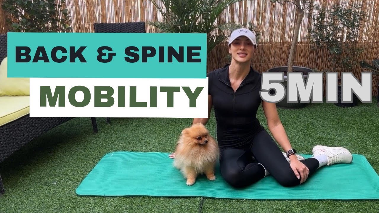 BACK & SPINE MOBILITY and Stretching. Pain relive - No Equipment - YouTube