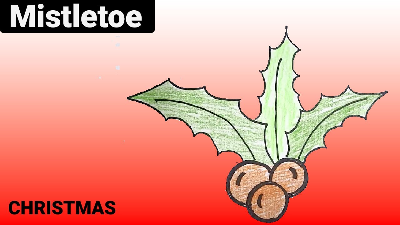 How to draw a Mistletoe or du gui? - YouTube