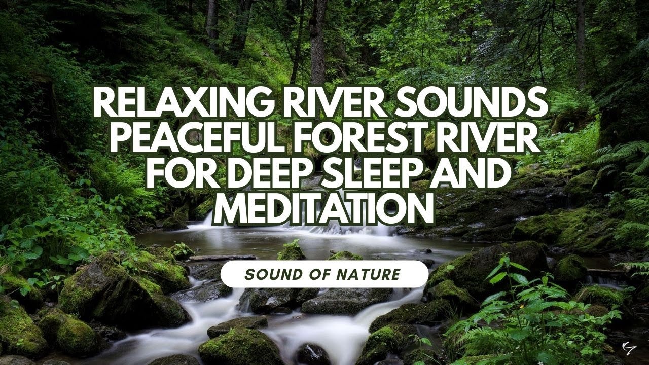 RELAXING MUSIC River Sounds Peaceful Forest River Sleep Music ...