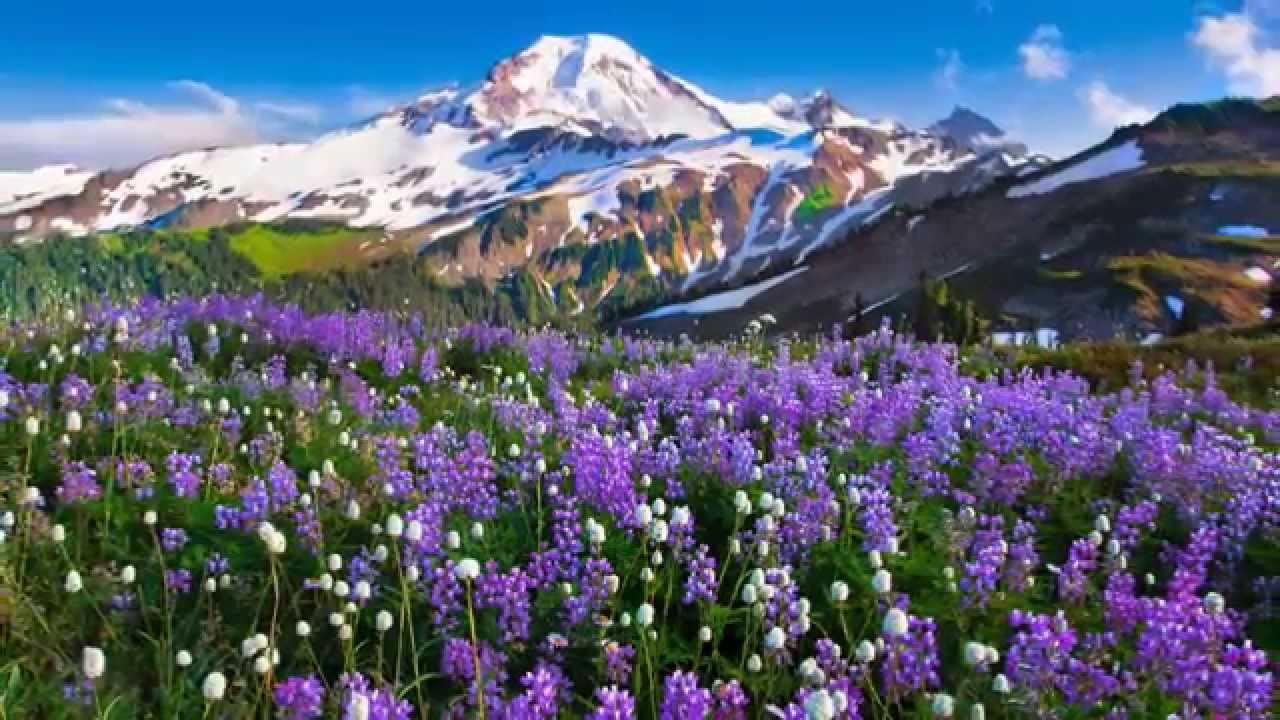 Natuur landschappen - YouTube