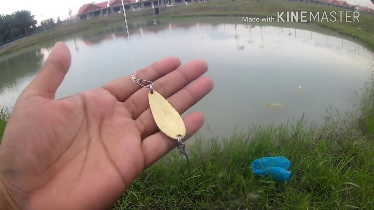Casting Ikan Haruan|Spoon Sodo Tokwan - YouTube