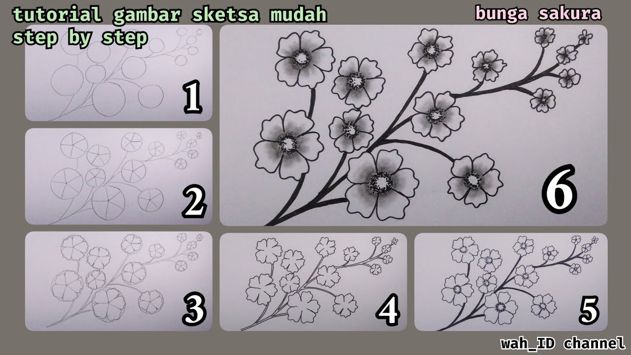 gambar bunga sakura | belajar menggambar sketsa mudah | step by step ...