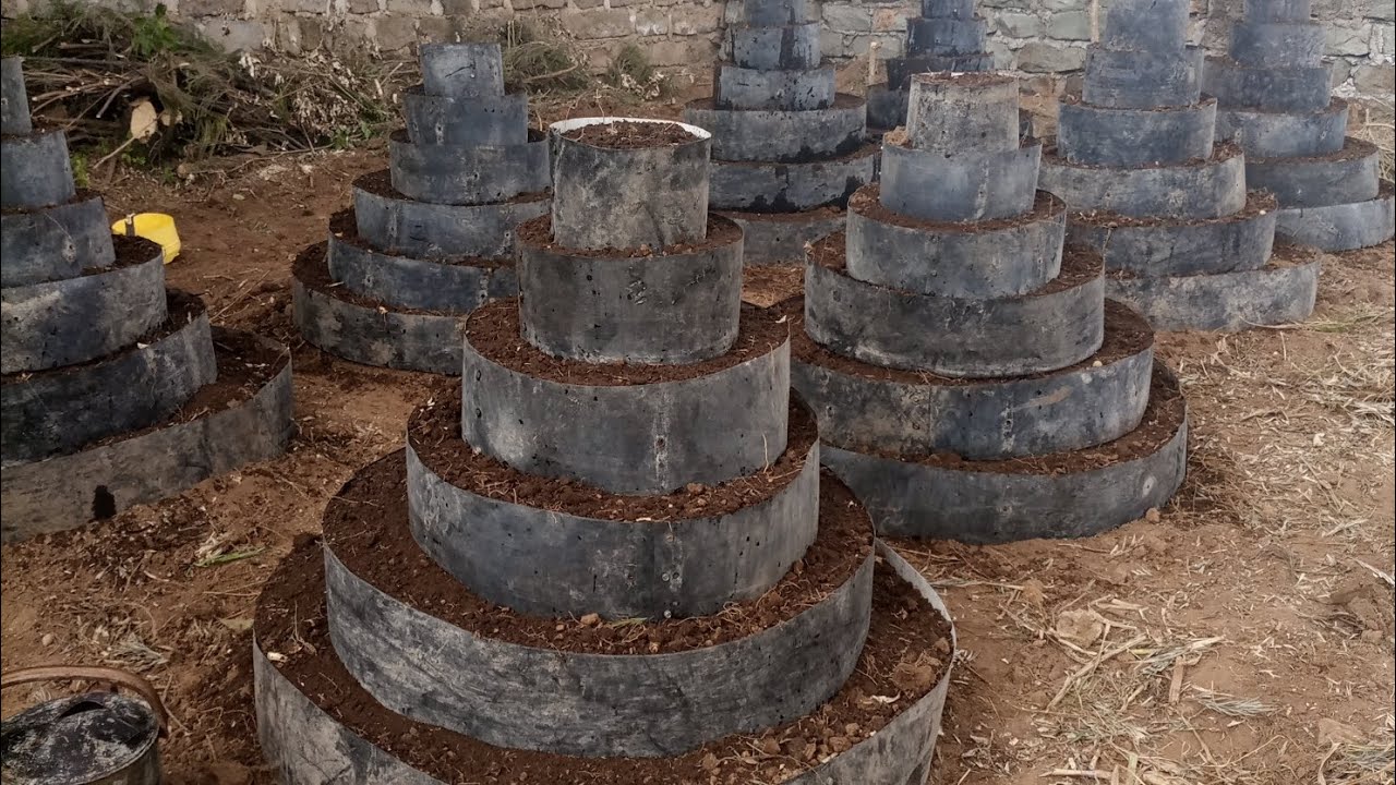 Smart farming in Charis farm - Kitchen gardens in Schools for ...