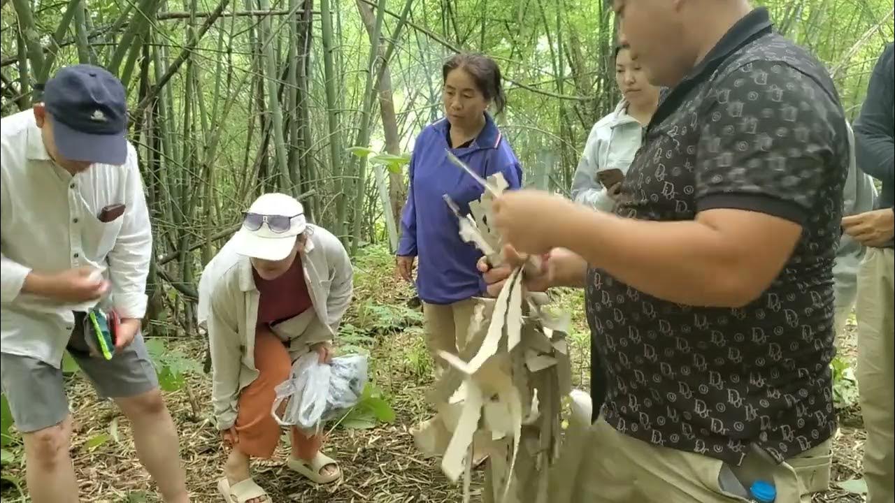 No yg daim kawg ntawm phauj tsu thiab yij laug pes saib pog tshu thiab yawg txhu nkawv 15 25 6 ...