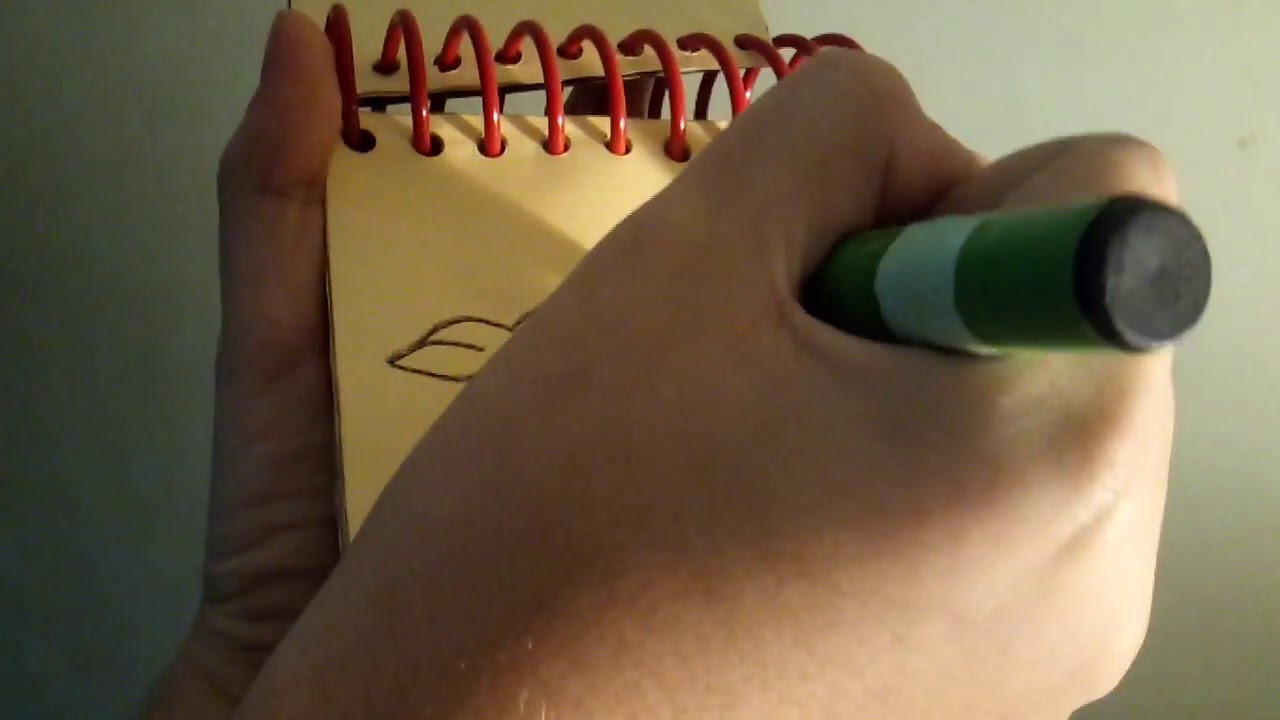 How to draw seeds (The Grow Show) - YouTube