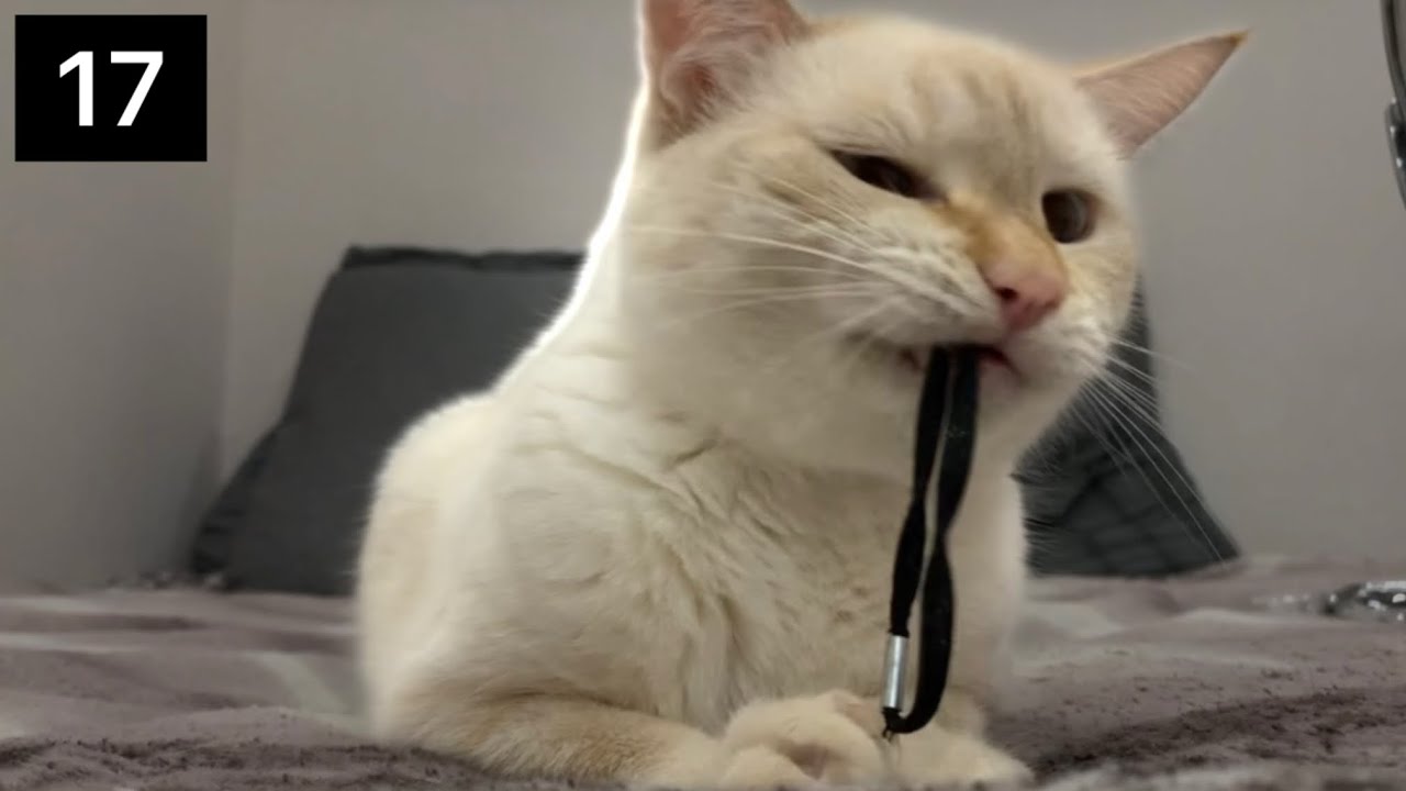 Нашел идеальную стратегию. SR 17 - YouTube