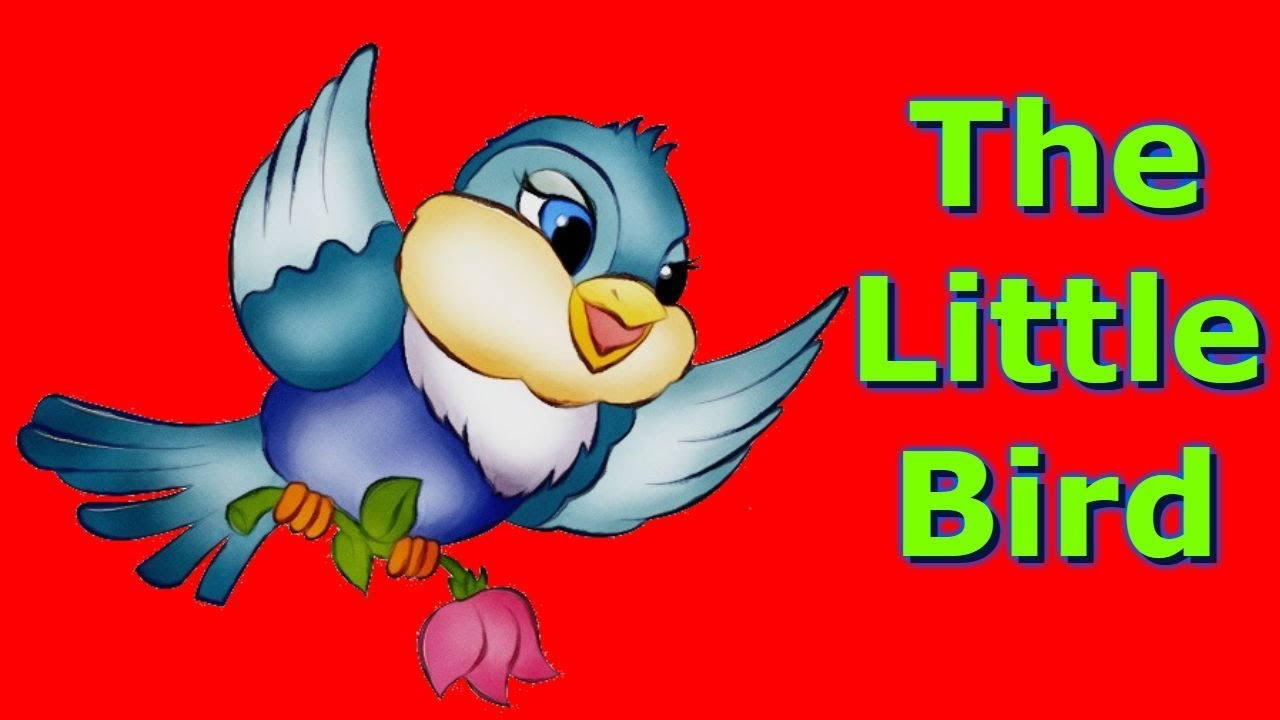 The Little Bird - Animated Nursery Rhyme in English Language - YouTube