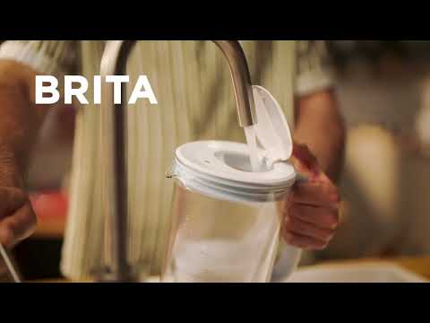 BRITA - MAXTRA PRO Experto en cal