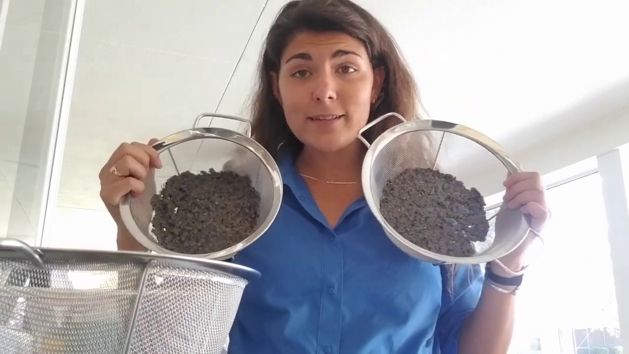 How To Make Seed Paper YouTube How To Make Seed Paper YouTube