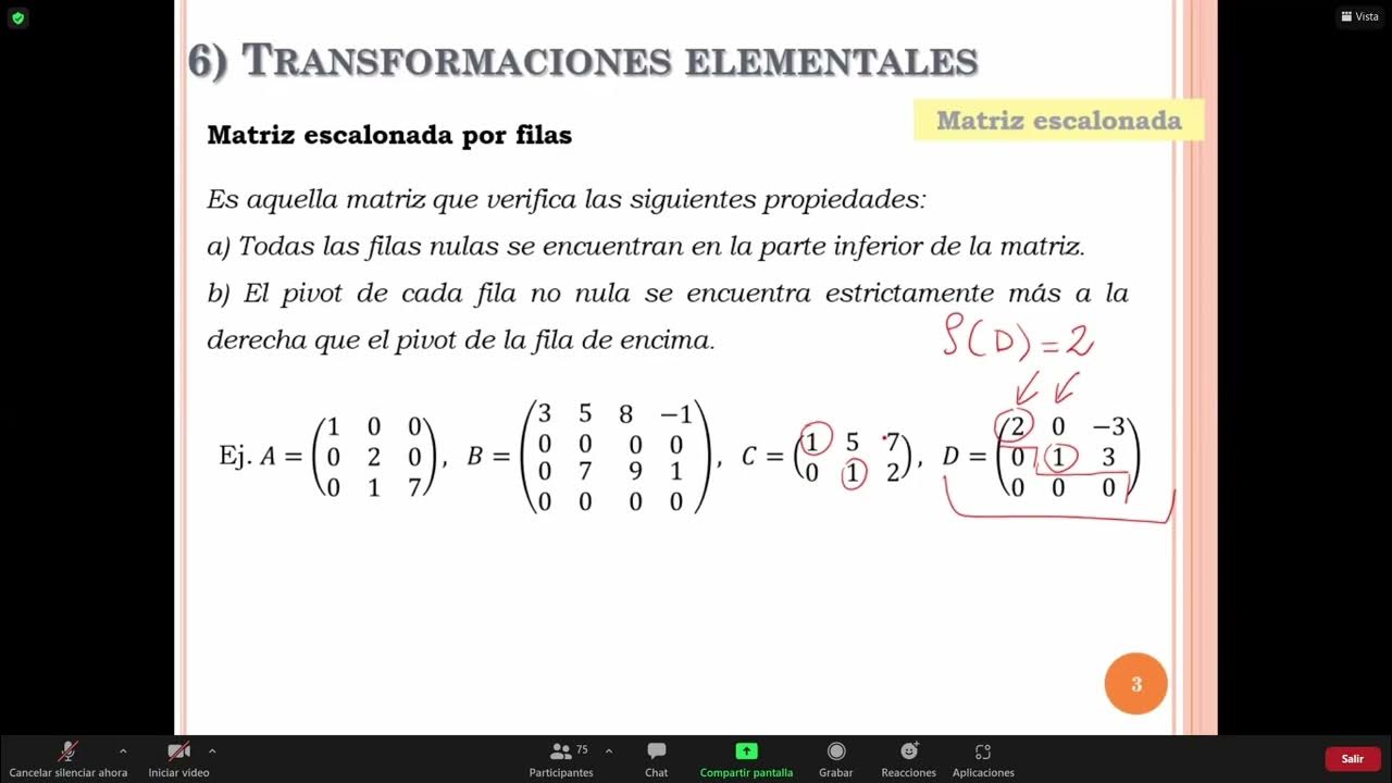Clase de Matrices(3) - YouTube