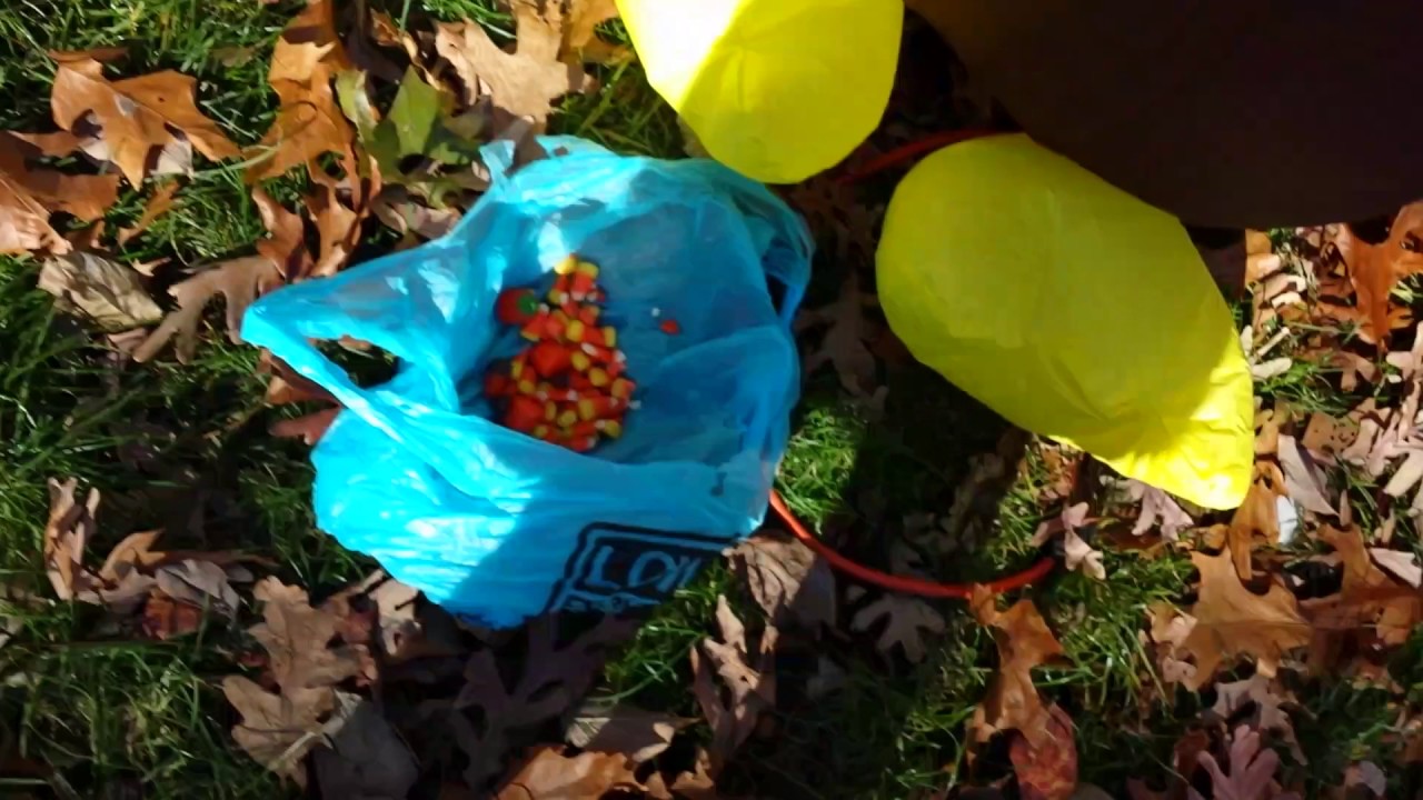 Turky sings the candy corn song - YouTube