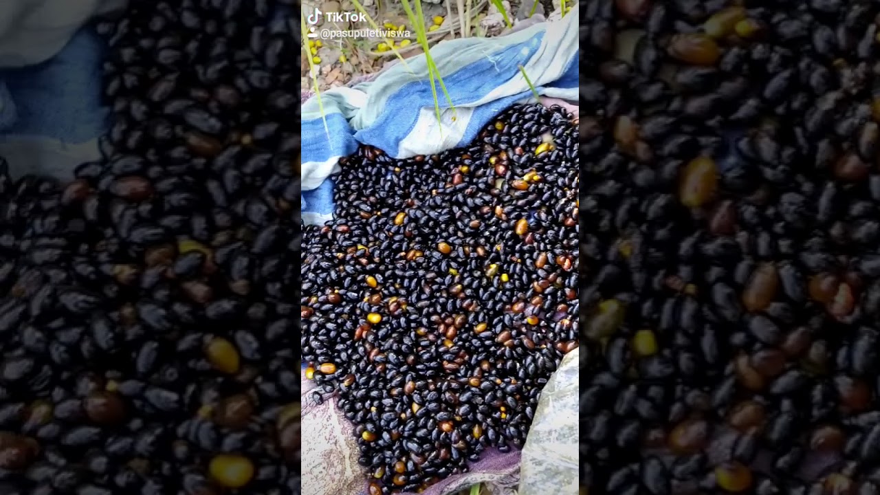 Etha pandulu - YouTube