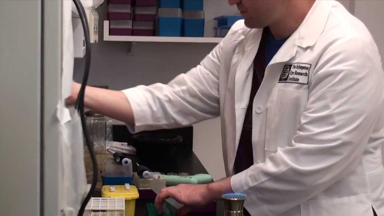 Bold Science. Life-Changing Cures - YouTube