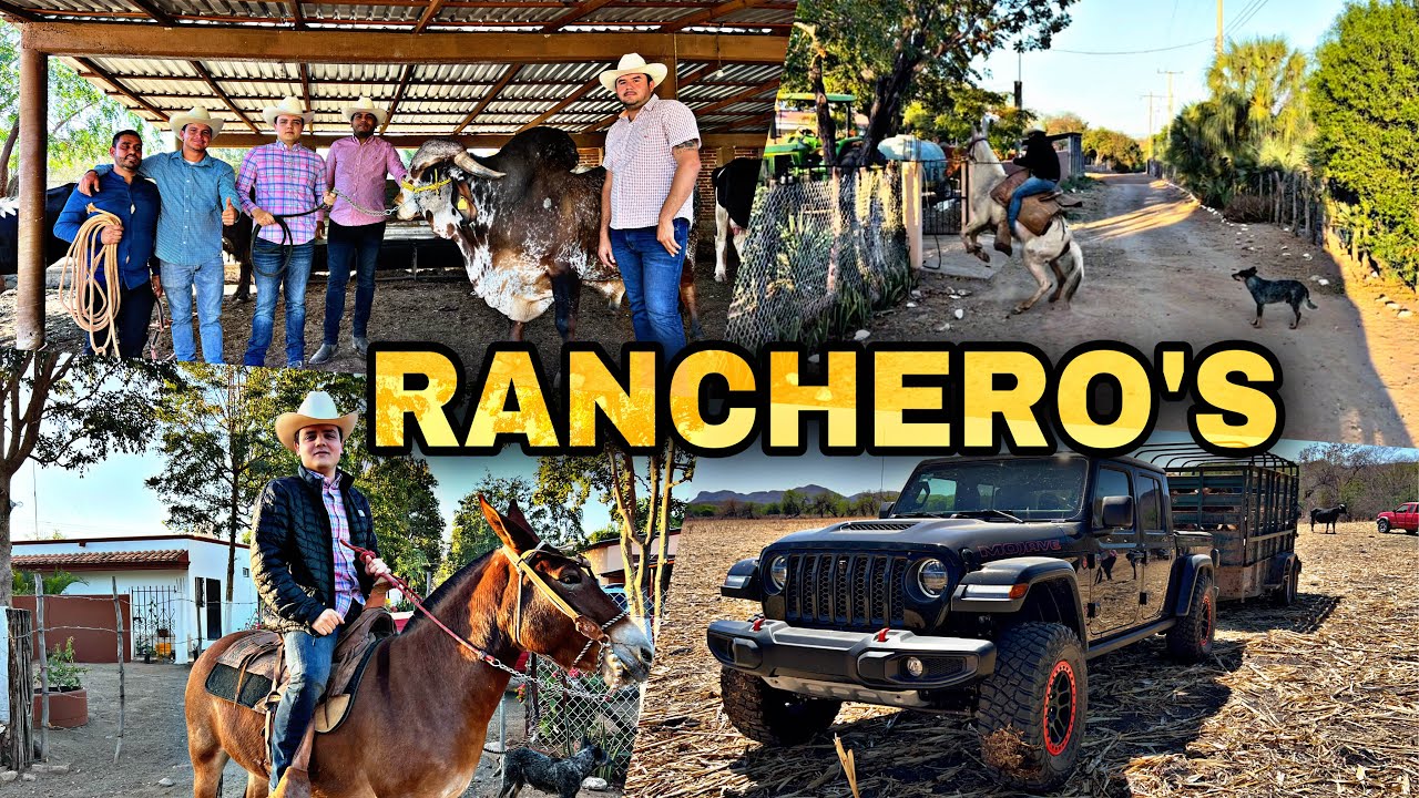 VISITE A MI AMIGO RANCHERO 95 A SU RANCHO, ORDEÑARON Y MONTAMOS MULAS ...