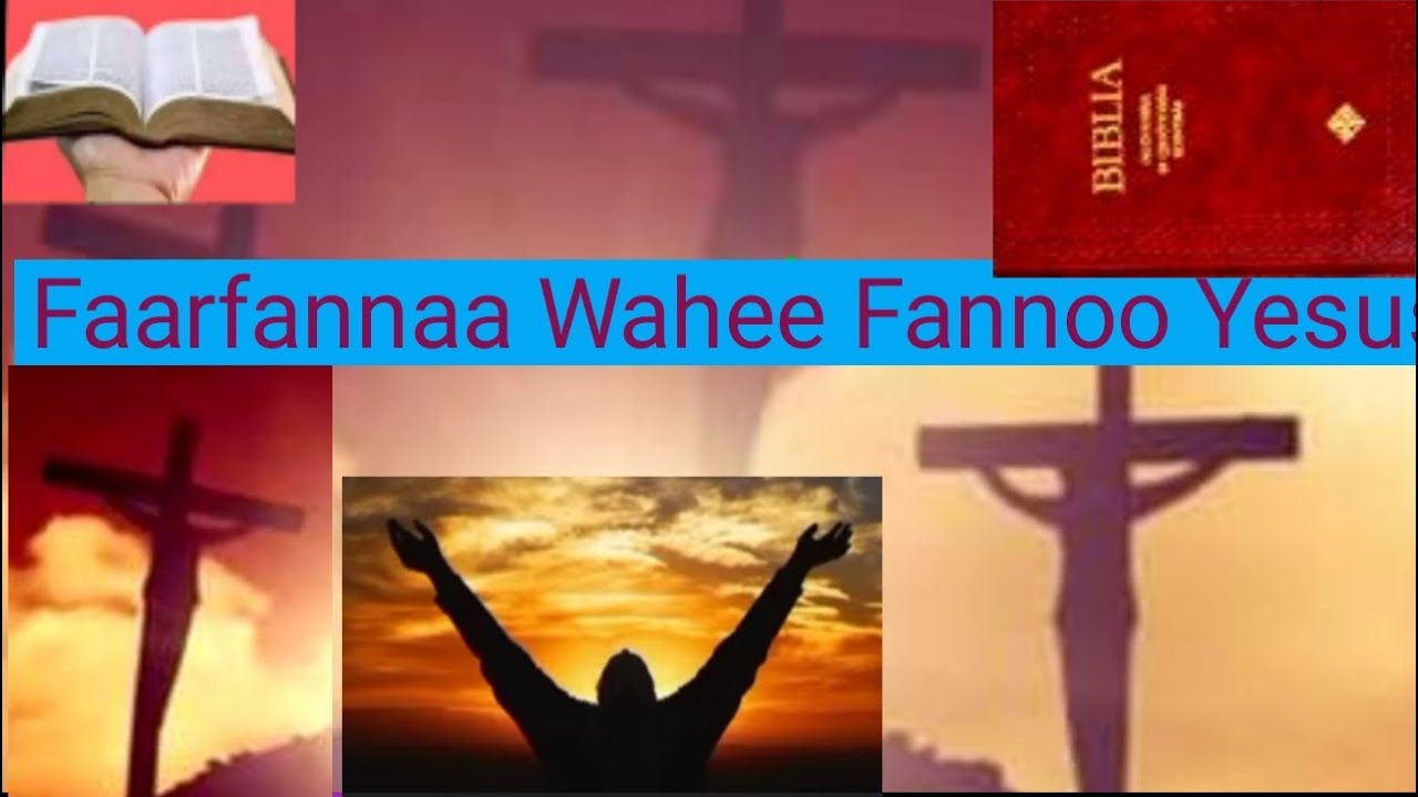 Faarfannaa fannoo - YouTube