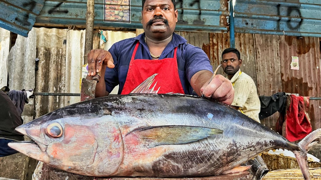 KASIMEDU 🔥 SPEED SELVAM | HUGE TUNA FISH CUTTING VIDEO | 4K VIDEO | KM ...