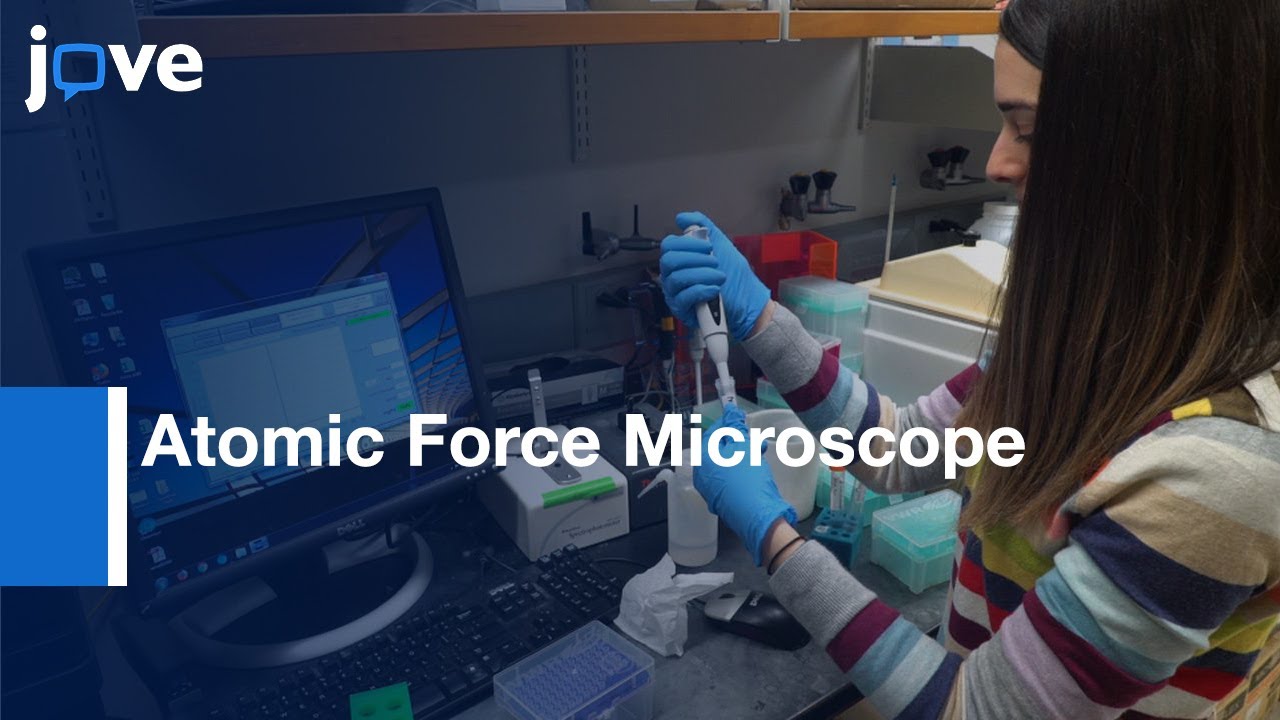 Single Protein Molecules Spectroscopy by Atomic Force Microscope (AFM ...