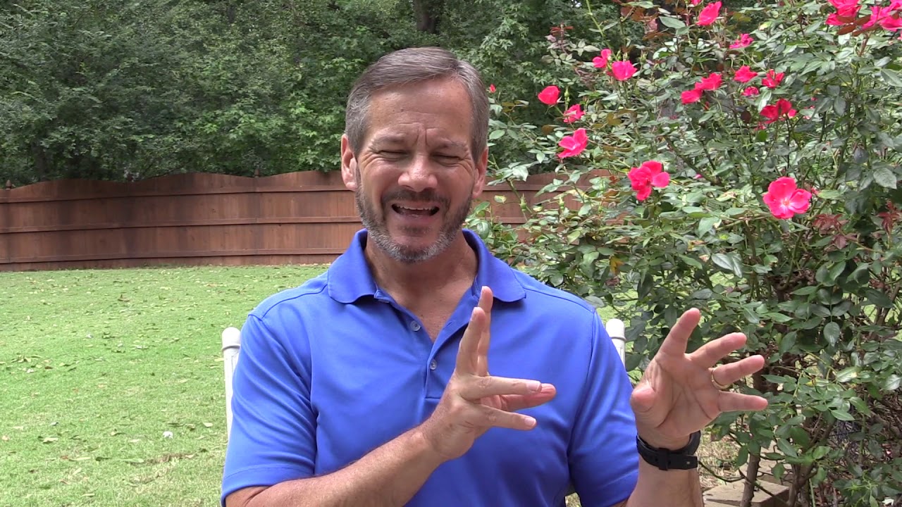 Renew Plus - (Rest Area: Just As If...) - Week 2 Day 2 - YouTube