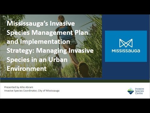 Mississauga's Invasive Species Management Plan: Managing Invasive ...