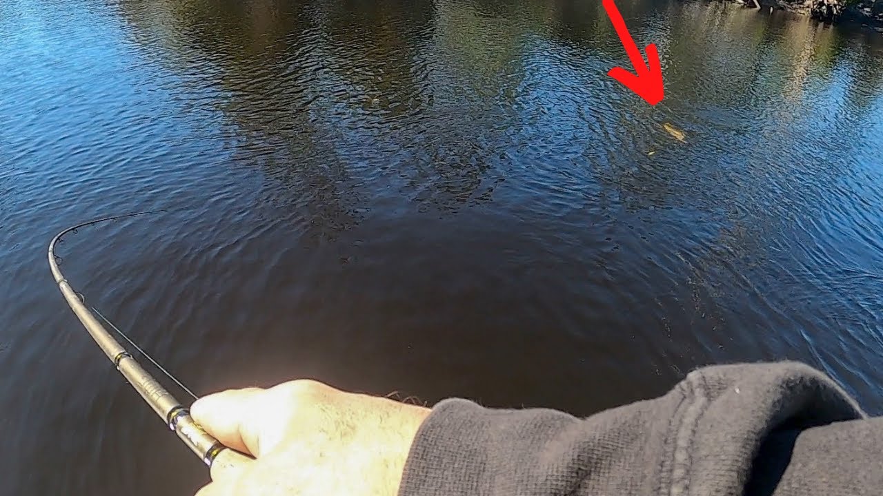 Insane Redfish Bite On This Deadly Wintertime Live Bait Rig - YouTube