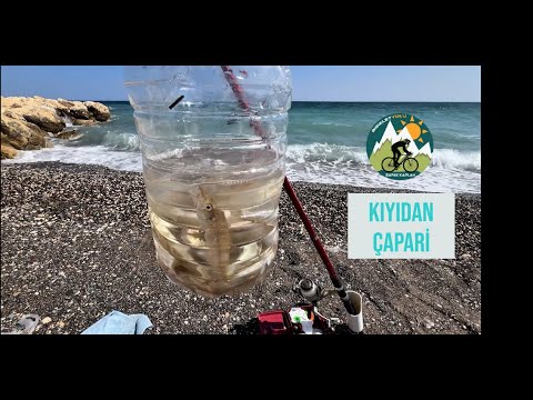 Kıyıdan Çapari ile Balık Avı / Kovamız Balık Doldu