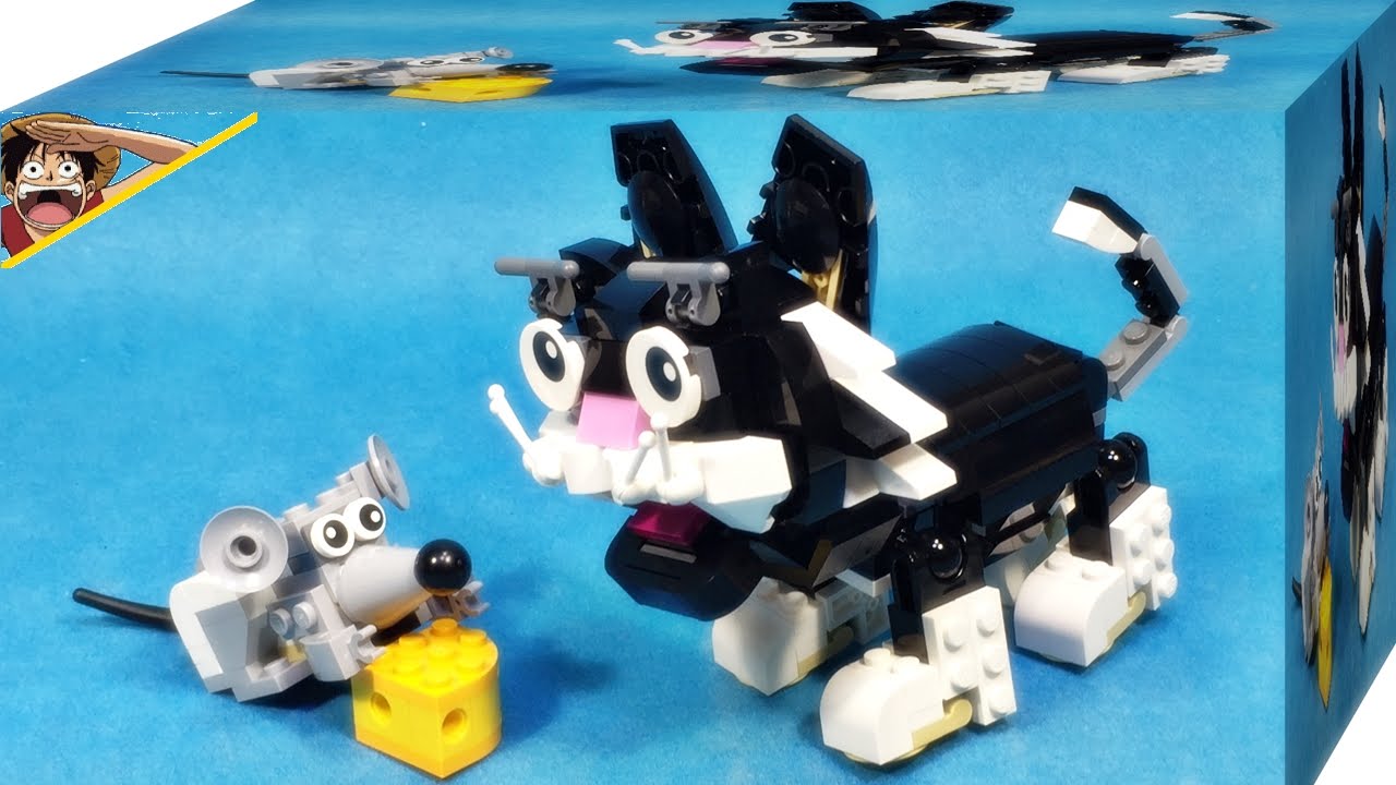 레고 복실복실 고양이와 쥐 크리에이터 31021 3in1 조립 리뷰 LEGO Creator Furry Creatures cat ...