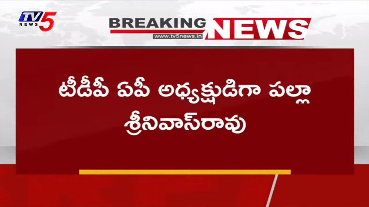 టీడీపీ రాష్ట్ర అధ్యక్షుడిగా పల్లా శ్రీనివాసరావు | Palla Srinivas ...