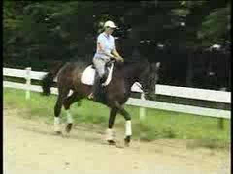 HorseBase Video (www.horsebase.de) - YouTube